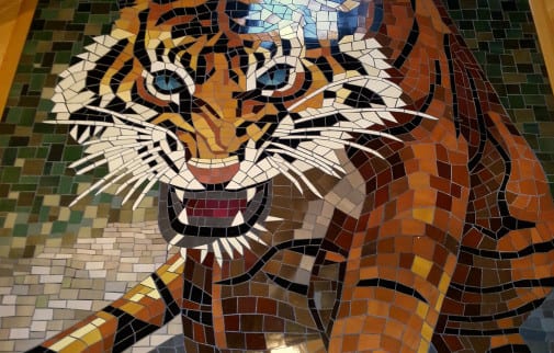 Baltimore Fishbowl | tiger-mosaic