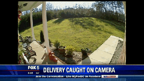 Baltimore Fishbowl | Watch This Md. FedEx Deliveryman Toss a Package ...
