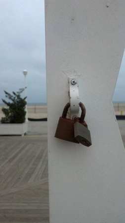 Baltimore Fishbowl | Viral Facebook Post Inspires Ocean City Official ...