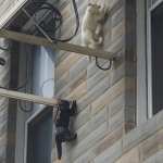 Tyler Merbler, Author at Baltimore Fishbowl - Page 6 of 14