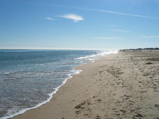 Baltimore Fishbowl | beach