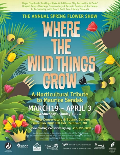 Baltimore Fishbowl | Where the Wild Things Grow - Annual Spring Flower ...