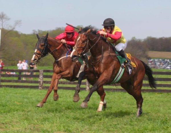 Senior Senator wins Maryland Hunt Cup, capturing triple crown of Md ...