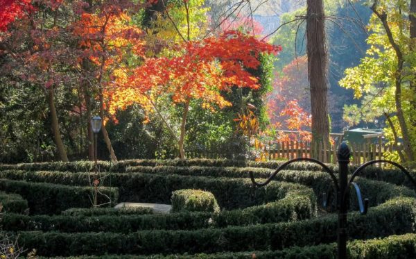 Baltimore Fishbowl | overhill 2