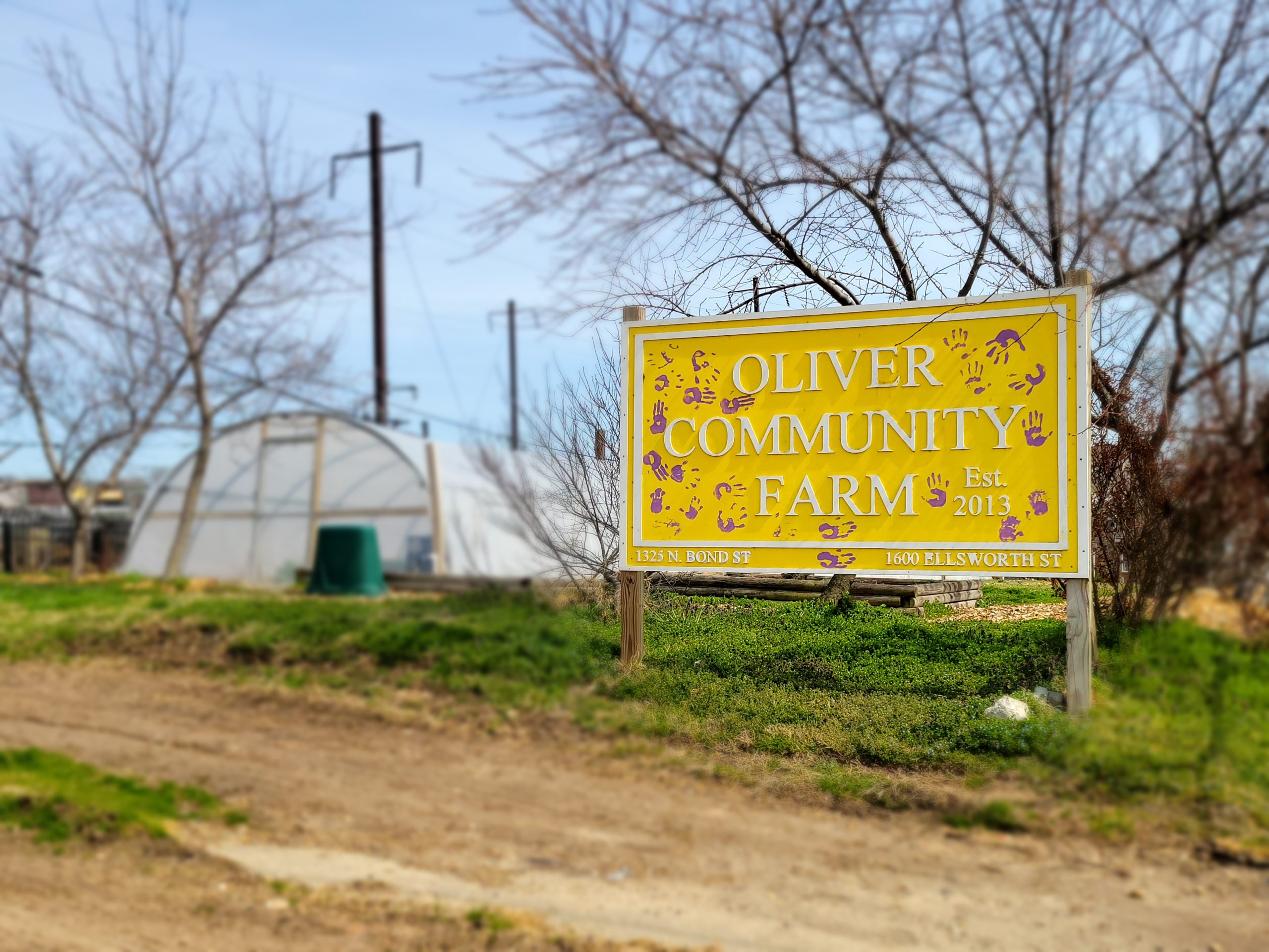 Taking root: How community gardens are feeding and teaching Marylanders ...
