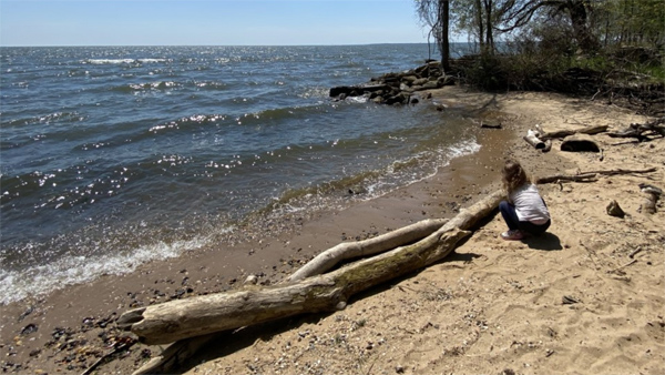 Baltimore Fishbowl | 5-Summer-Activities-Baltimore-Family-Fun-1920-x-1080