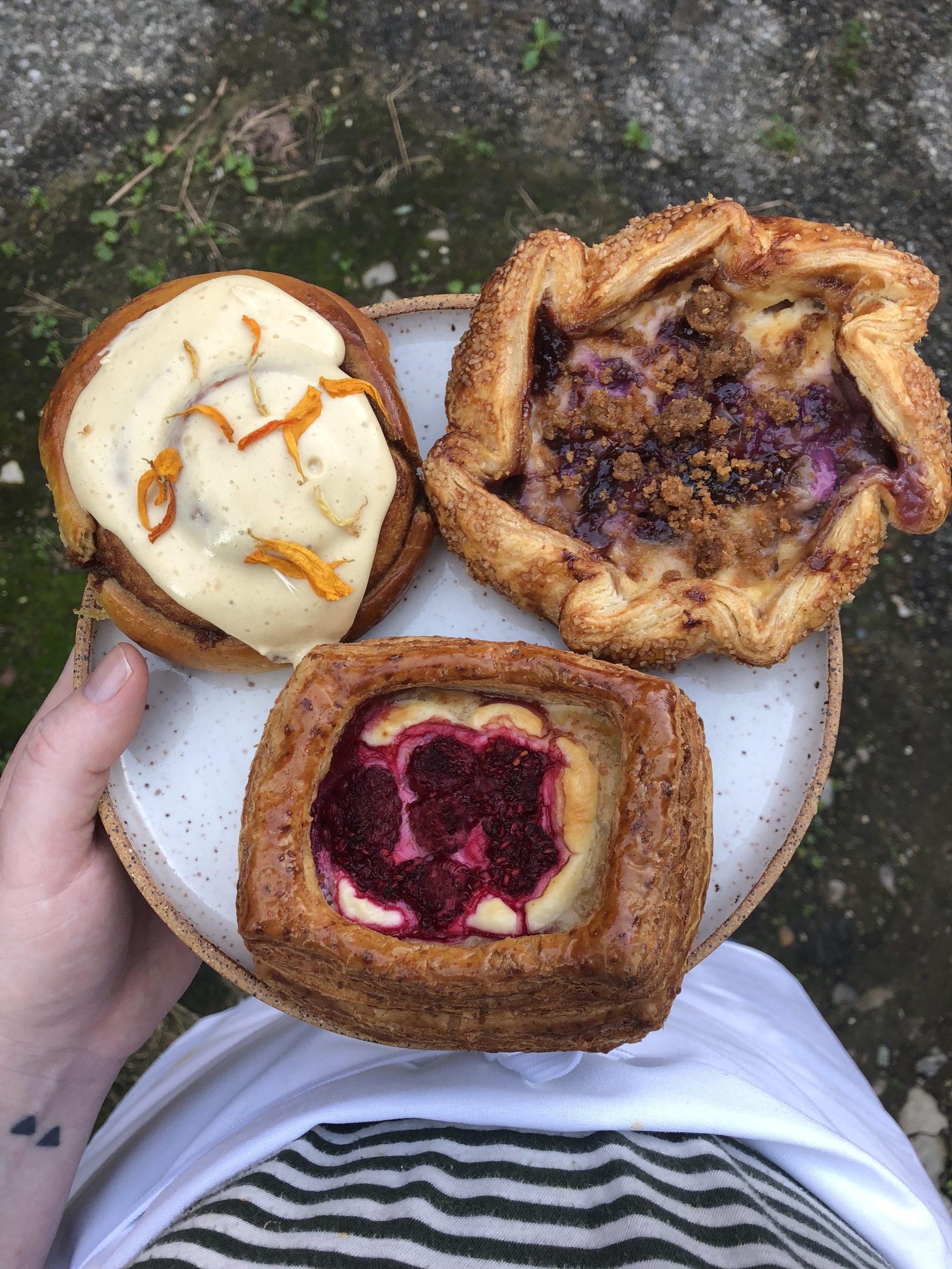 Hot Plate: Bramble Baking Co. opens, beer fests in Canton & Havre de ...