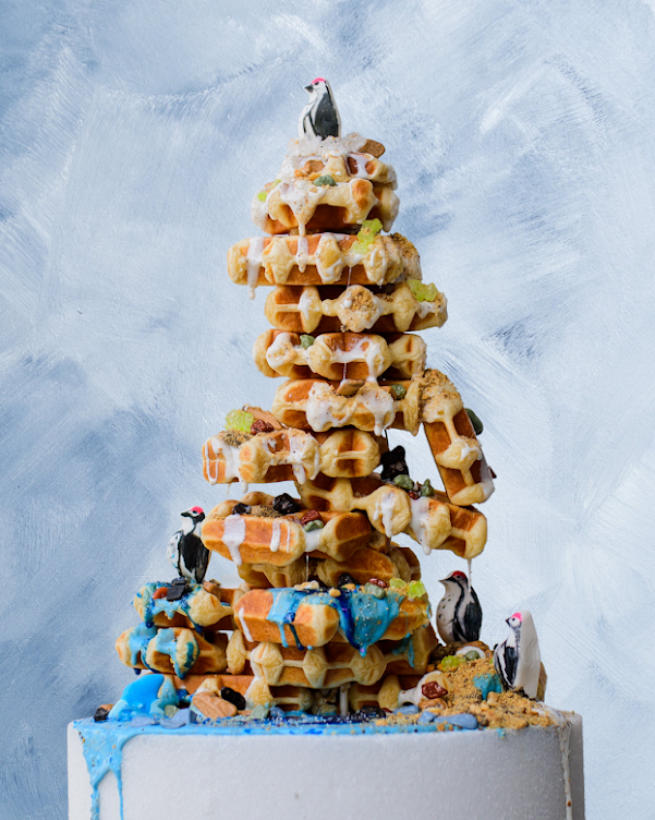 Baltimore Fishbowl | Waffie