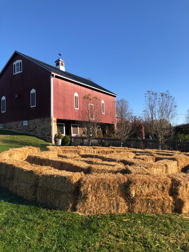 Family Fall Festival and Blueberry Beer Release at Star Bright Farm