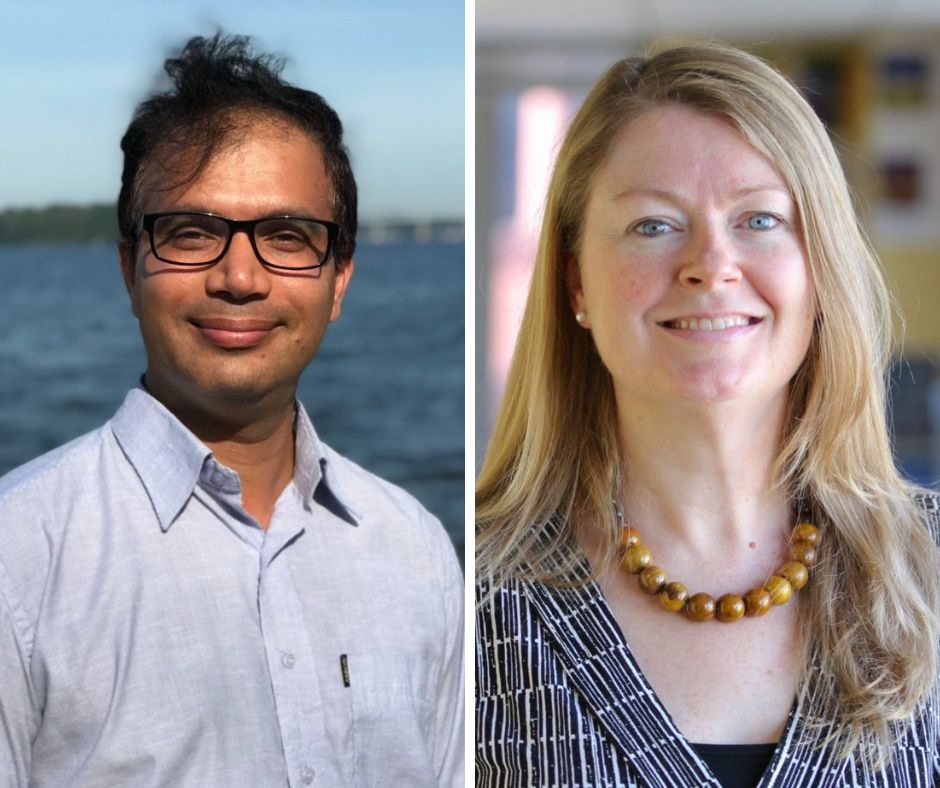 Chesapeake Conservancy data scientists taught a new AI tool to map ...