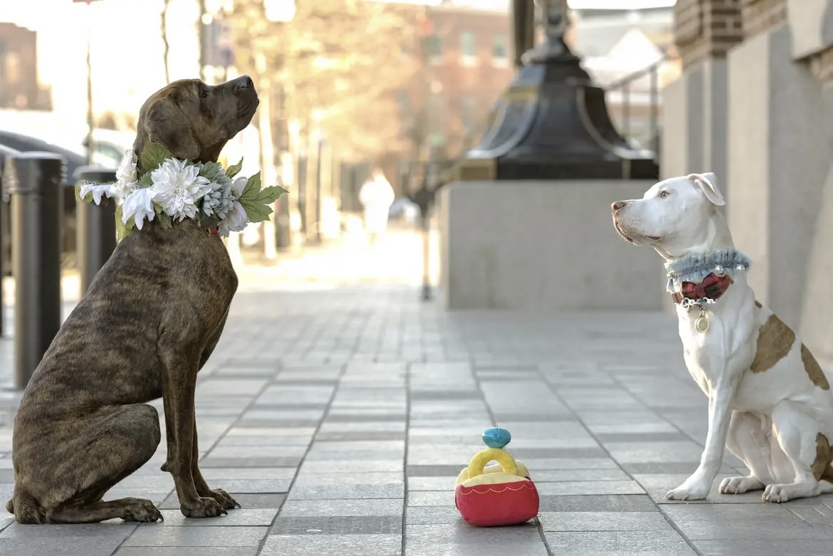 Weekend Events: Black History Month Events, Nerd Prom Rave, more