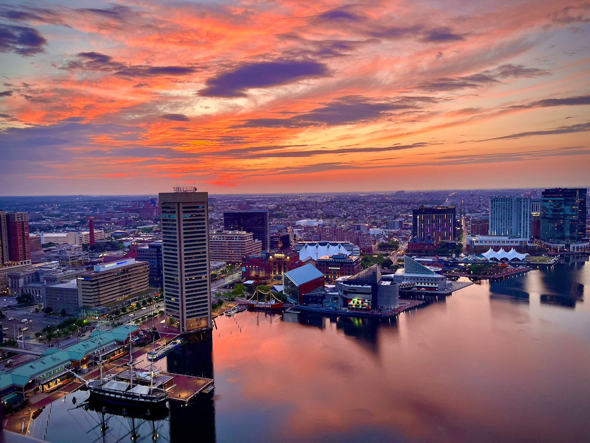Baltimore Fishbowl | Walters museum workers vote to unionize