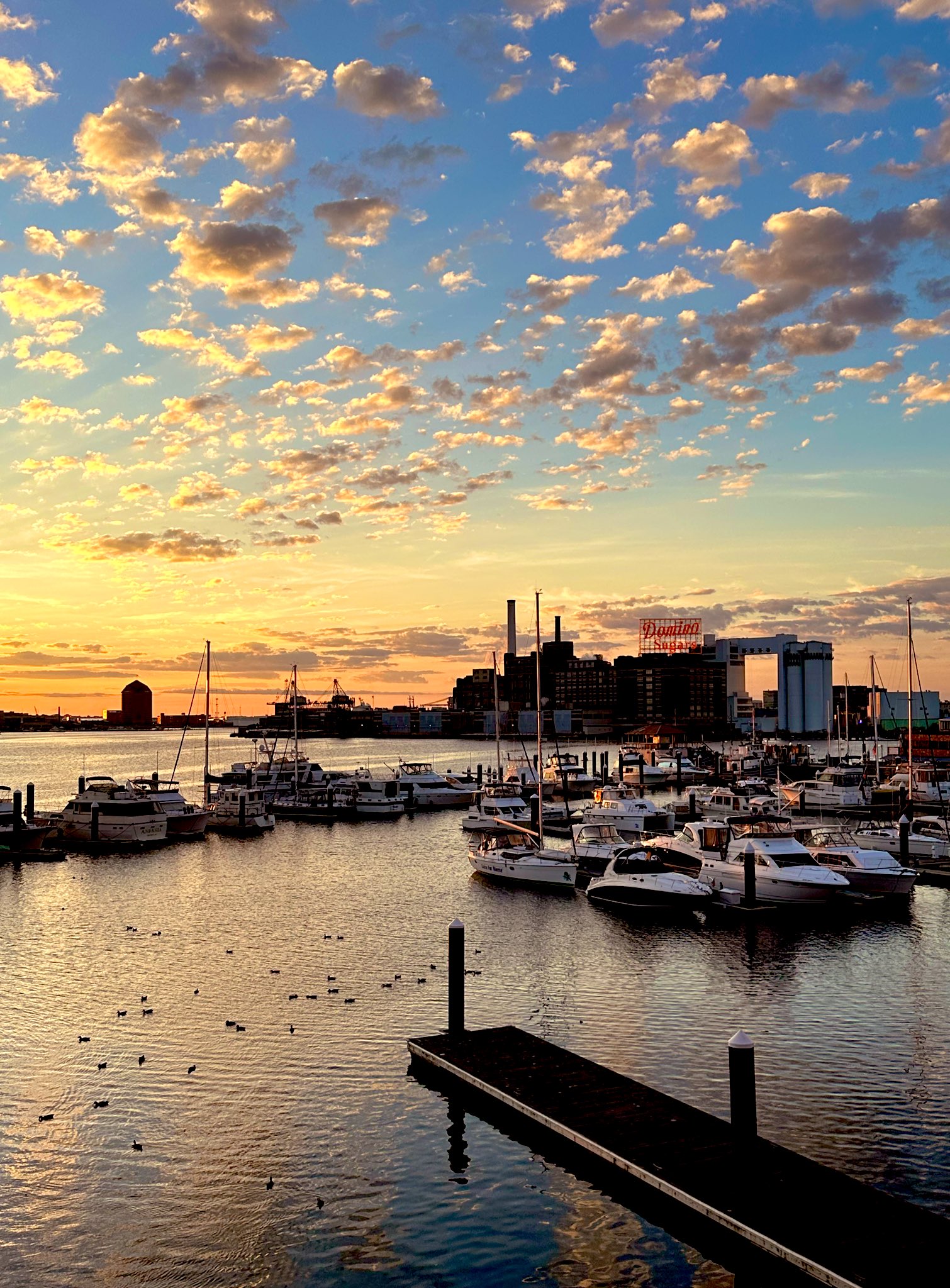 Baltimore Fishbowl | DNA from Rachel Morin murder matches Los Angeles crime