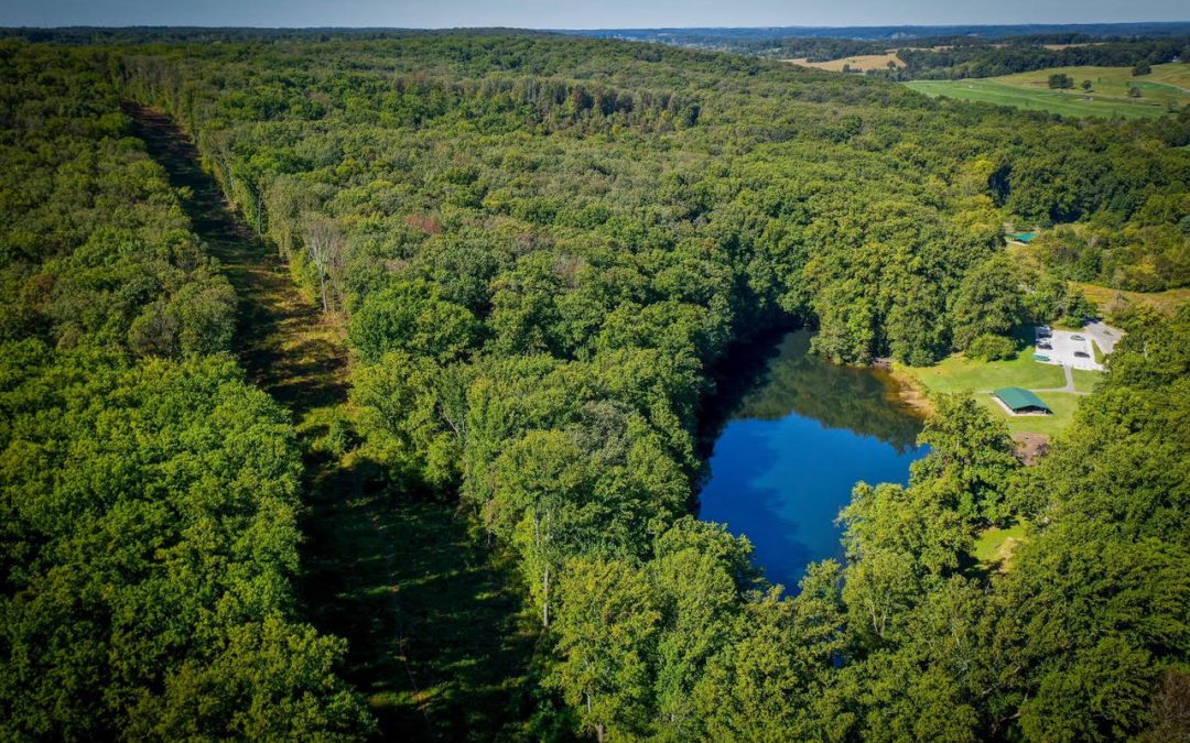 Baltimore Fishbowl | Officials silent on Oregon Ridge master plan