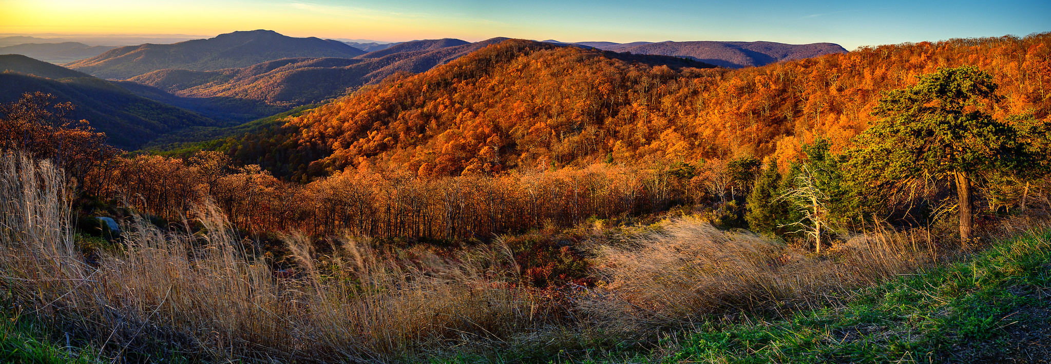 Baltimore Fishbowl | Skyline-Drive-SNP
