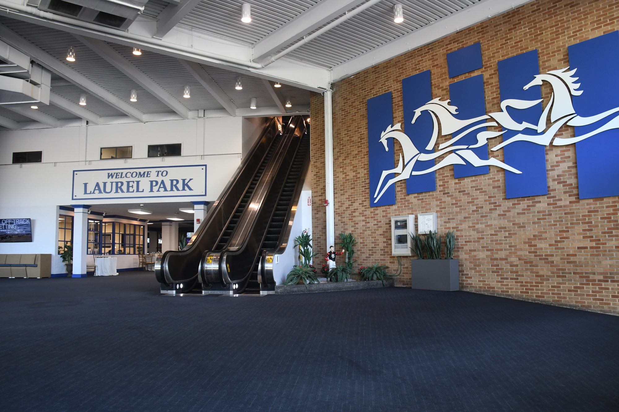 Historic Laurel Park faces shaky future