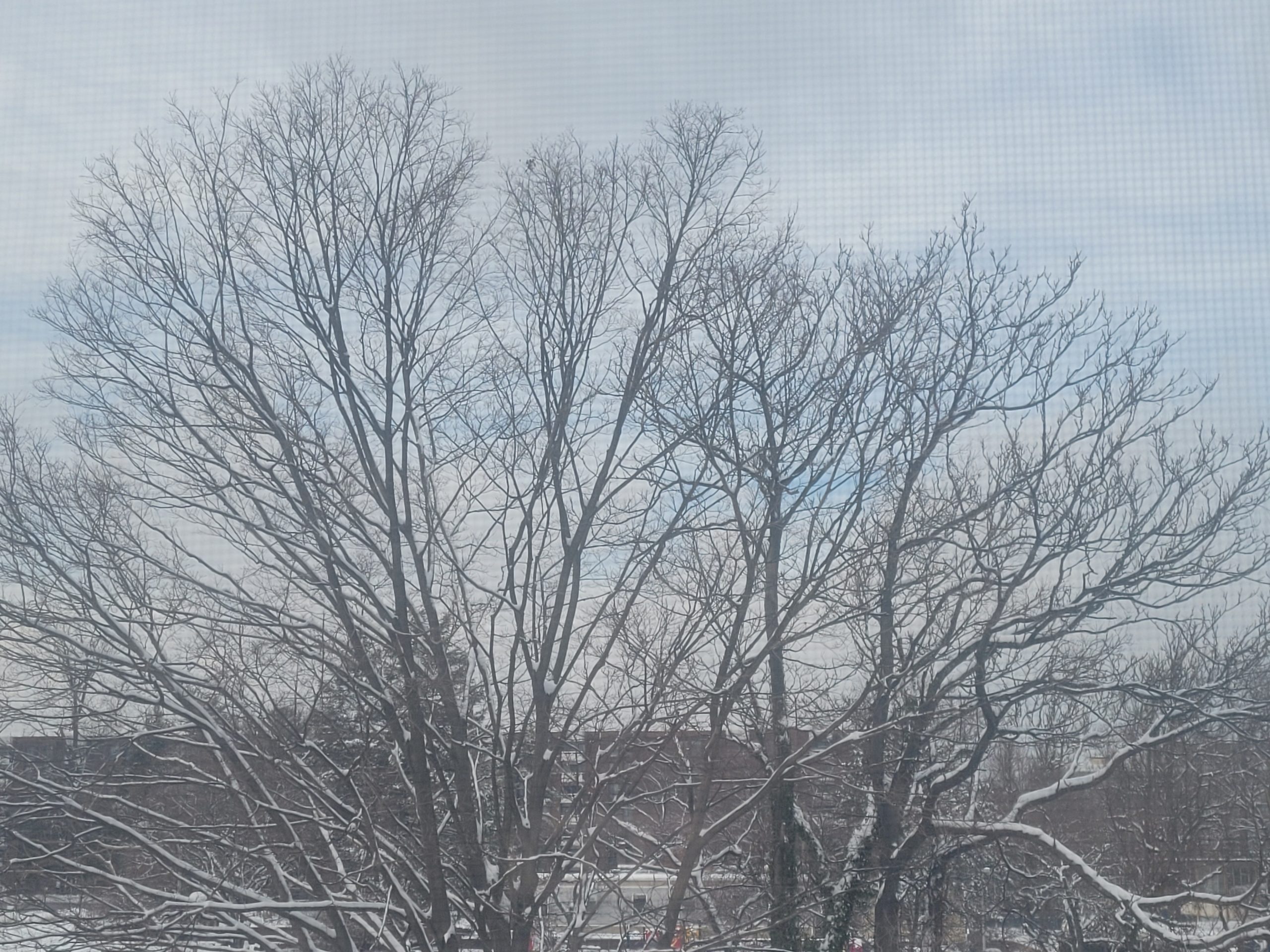 Baltimore Fishbowl | Great Baltimore Storm Debate: Honor the parking ...