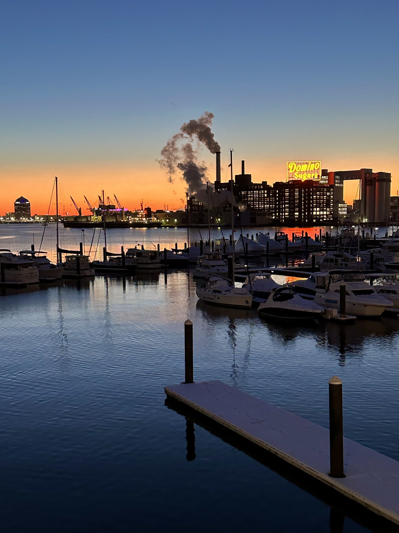 Baltimore Fishbowl | Actress Emma Roberts nabs rare Orioles baseball card