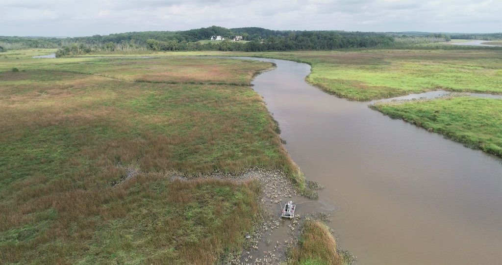 Baltimore Fishbowl | Jug Bay wetlands