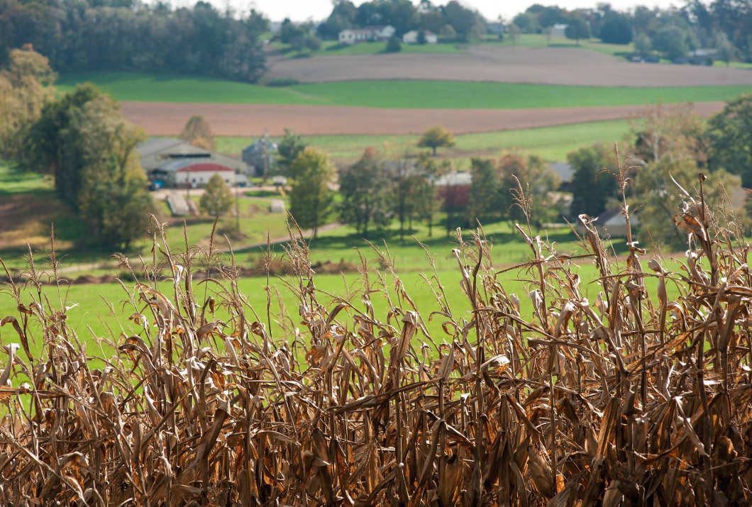 Olszewski announces financial relief for Baltimore County farmers