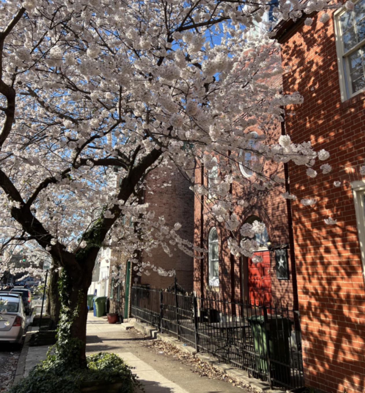 Fells Point adds self-guided walking tour to list of attractions