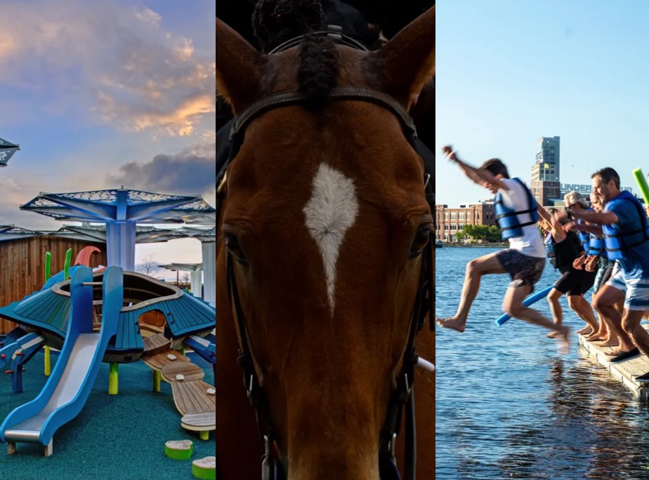 Last Week, This Week (News From May 13-17)