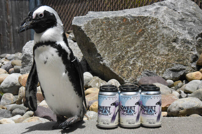 Baltimore brewery releases penguin-inspired pale ale