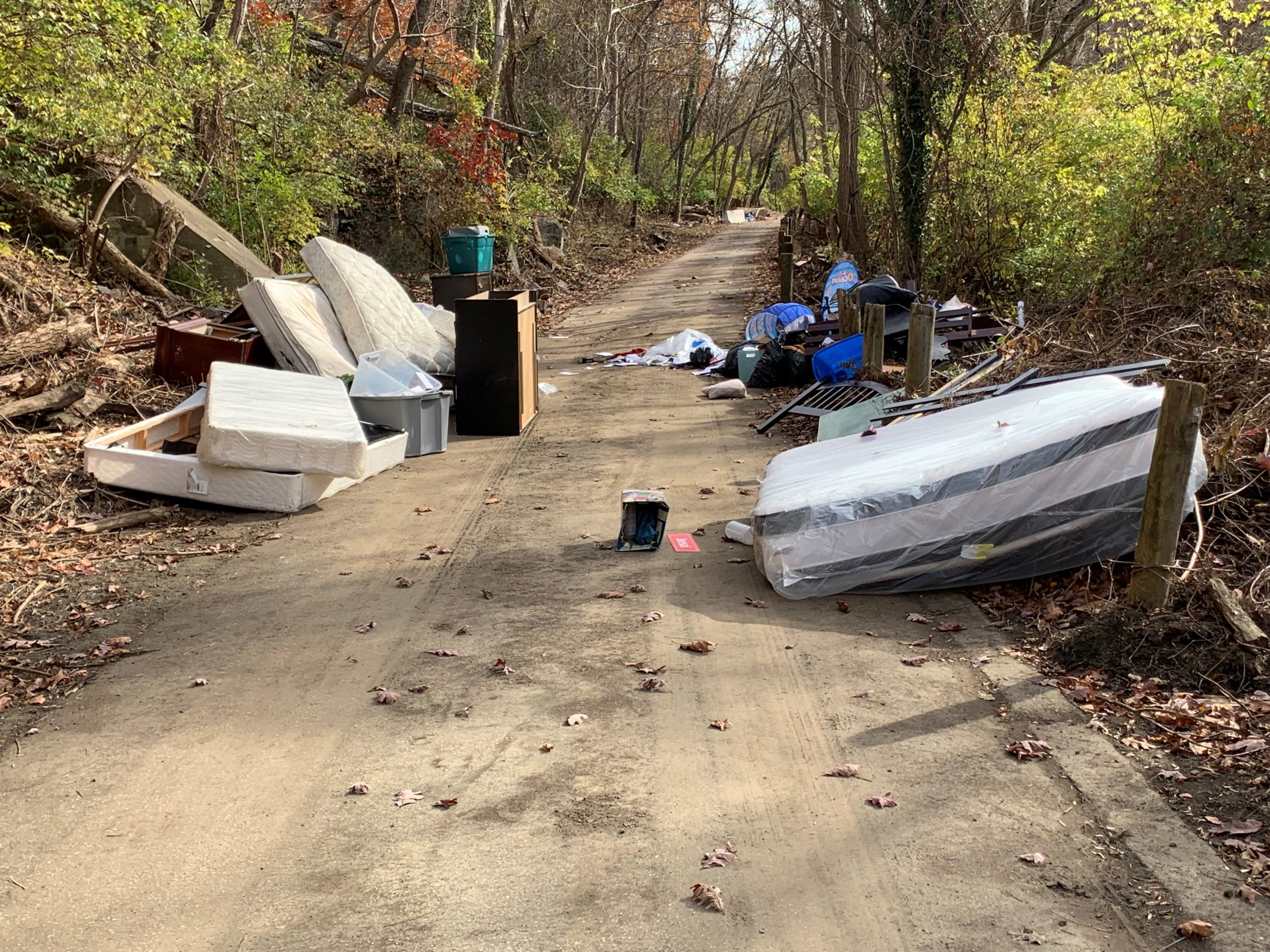Baltimore Fishbowl | dumping