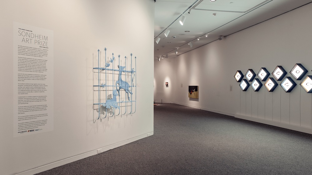 Baltimore Fishbowl | Sondheim Art Prize finalists exhibtion 2024