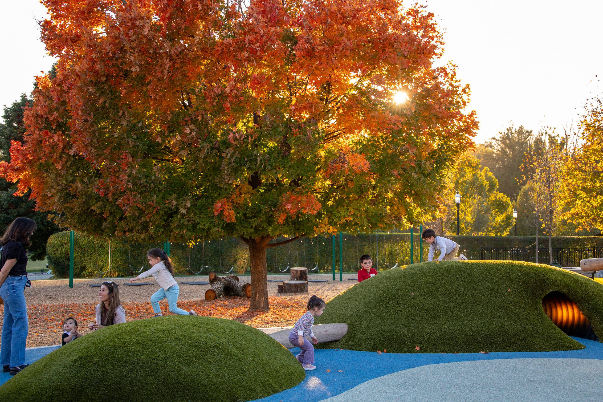 Baltimore Fishbowl | Berman-Family-Playground-1