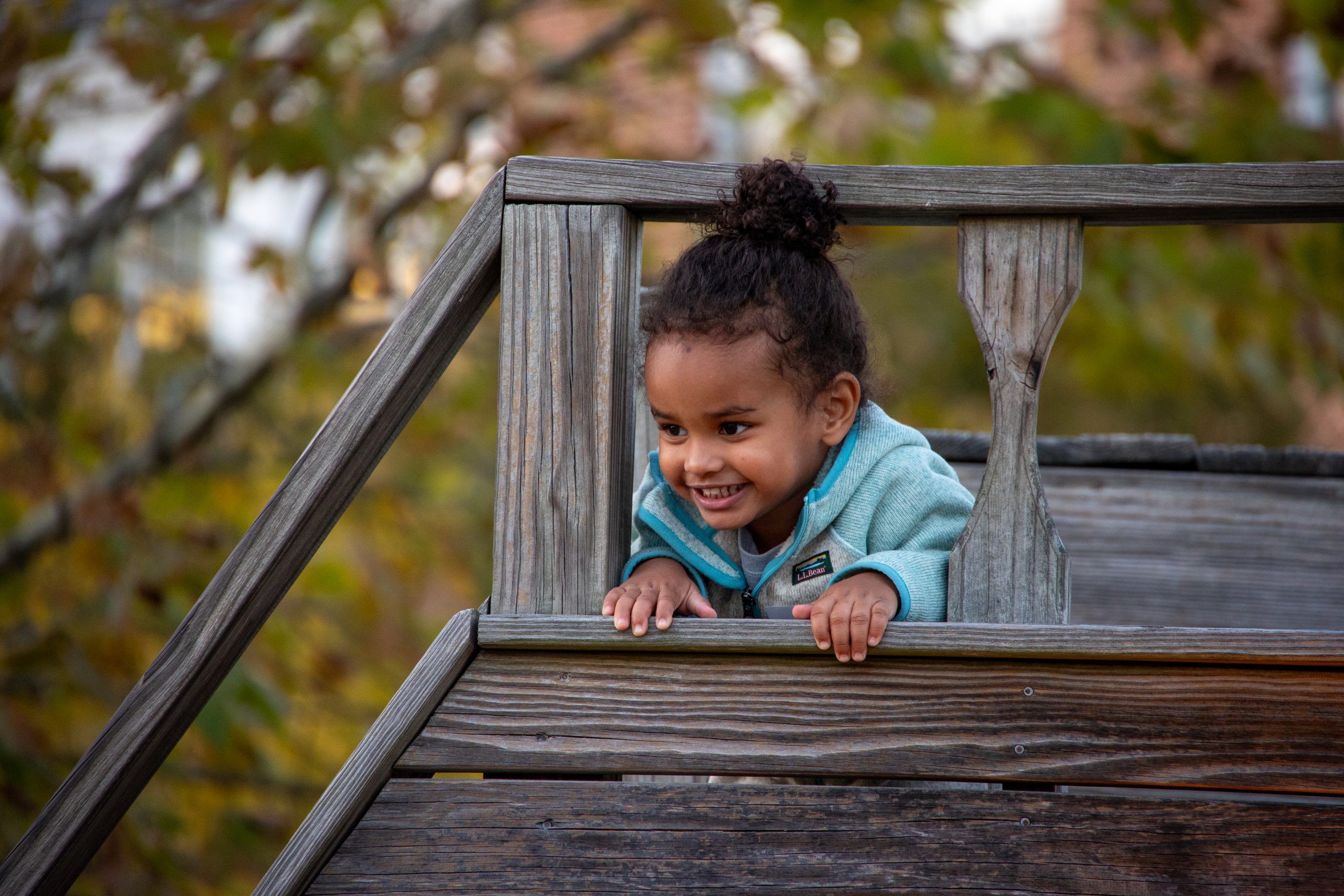 Baltimore Fishbowl | Berman-Family-Playground-2