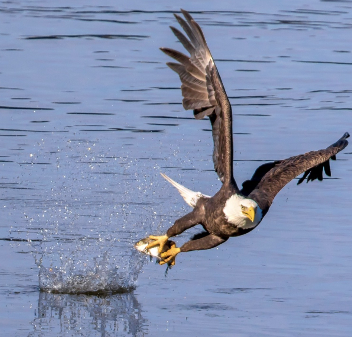 Chesapeake Bay is closer to National Park System designation