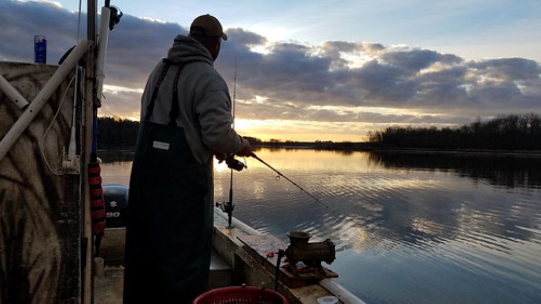 Maryland launches pilot programs to incentivize fishing for invasive ...