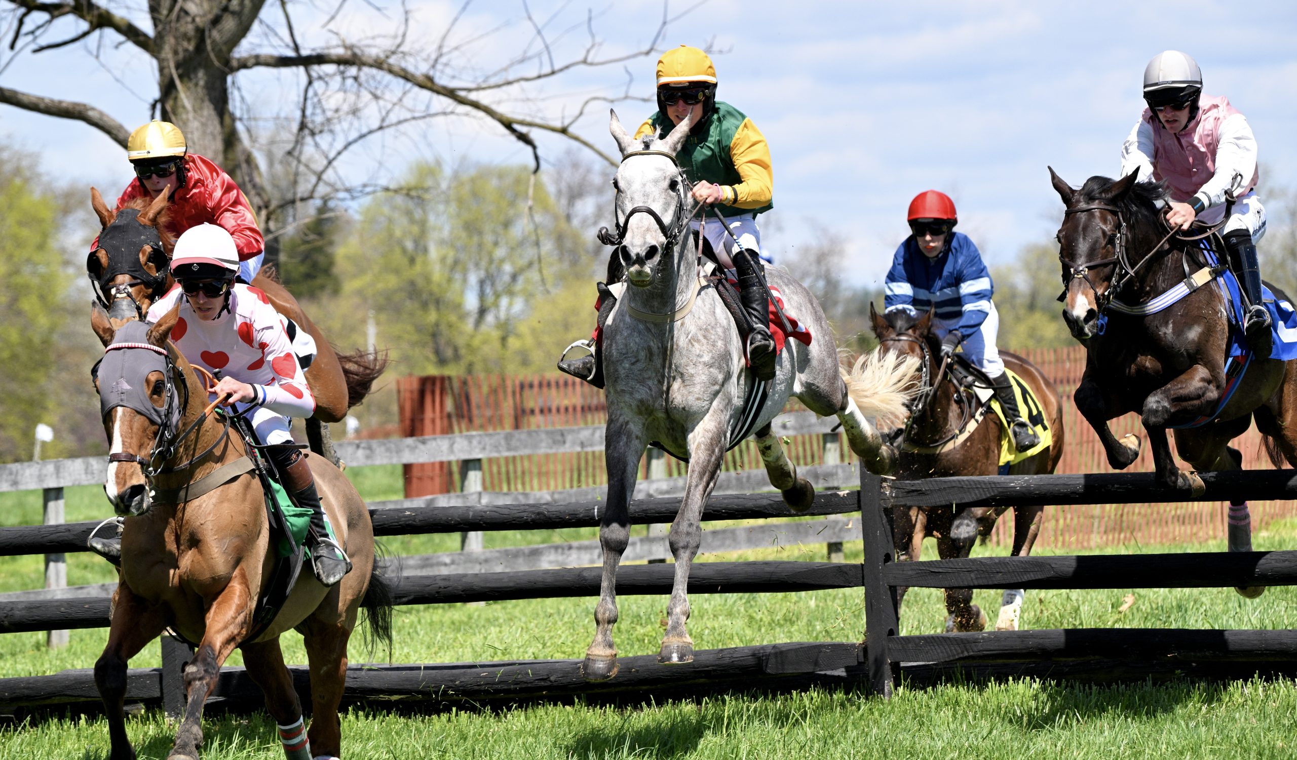 Baltimore Fishbowl | 114th My Lady’s Manor Steeplechase Races ...