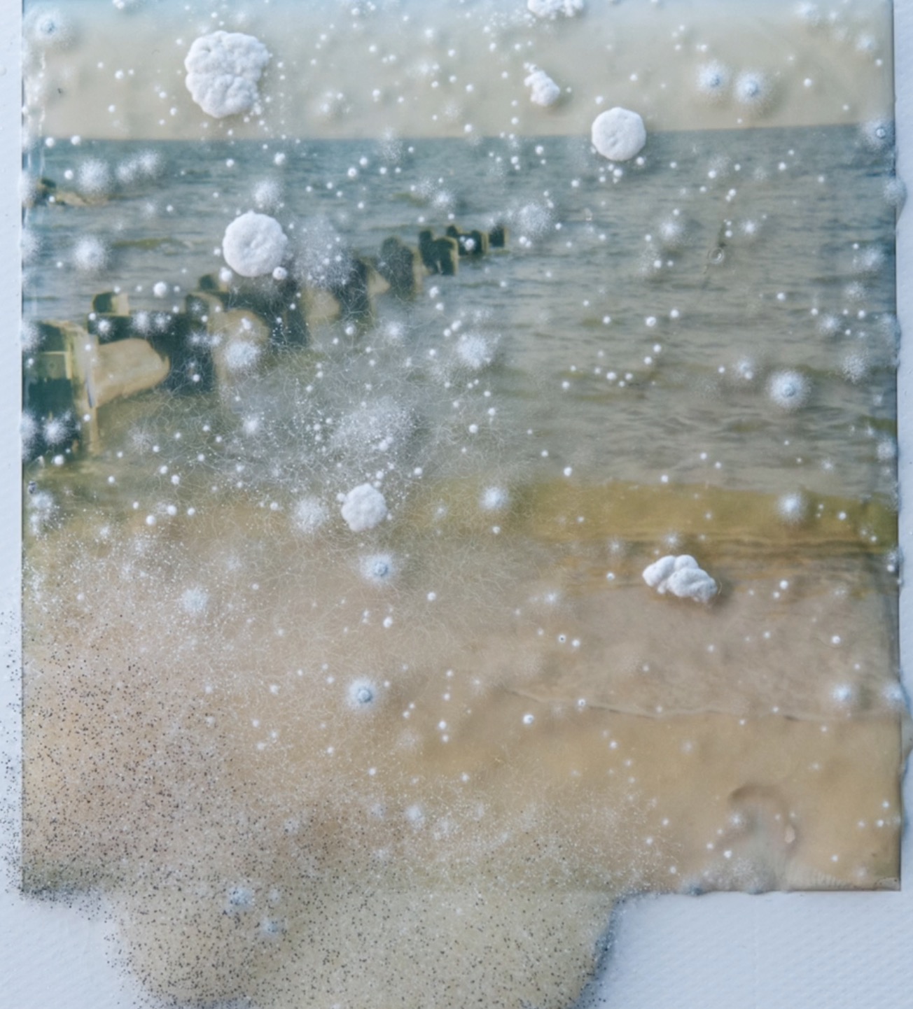 BMA exhibit will showcase five Baker Artist awardees