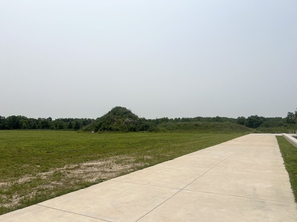 Phase 2 of Reedbird Park Redevelopment in Design Phase
