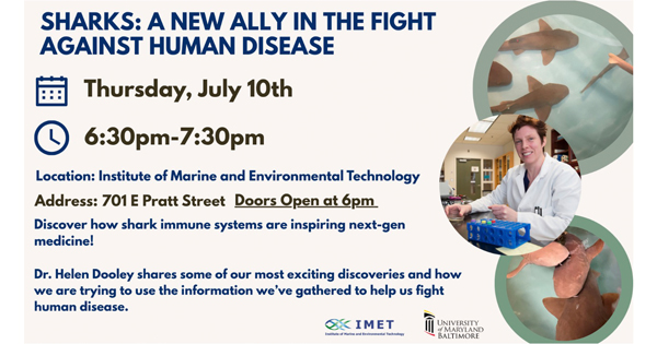 Baltimore Fishbowl | Sharks: a new ally in the fight against human ...