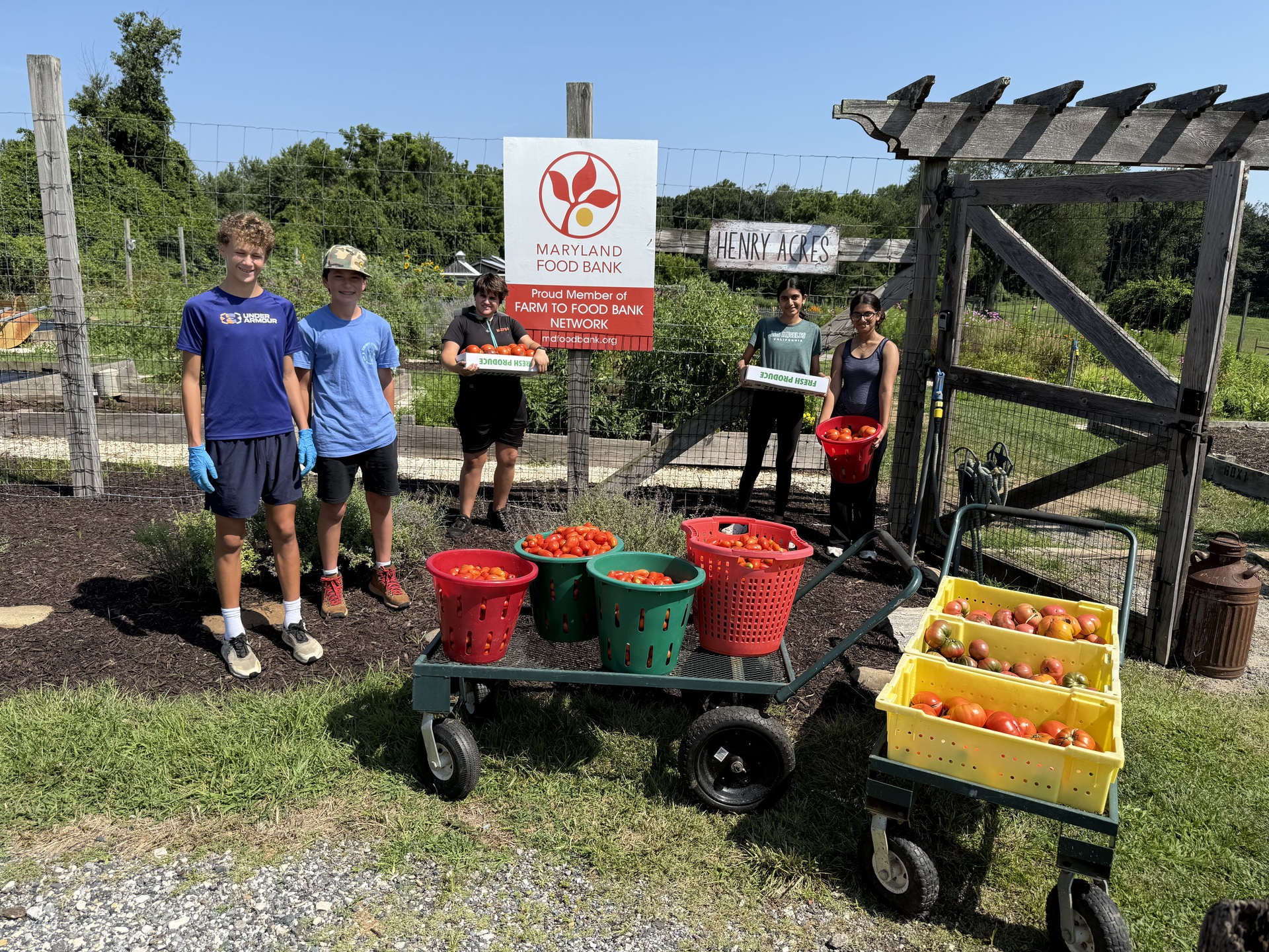 Baltimore Fishbowl | Upper School Volunteers harvest Roots Farm crops ...