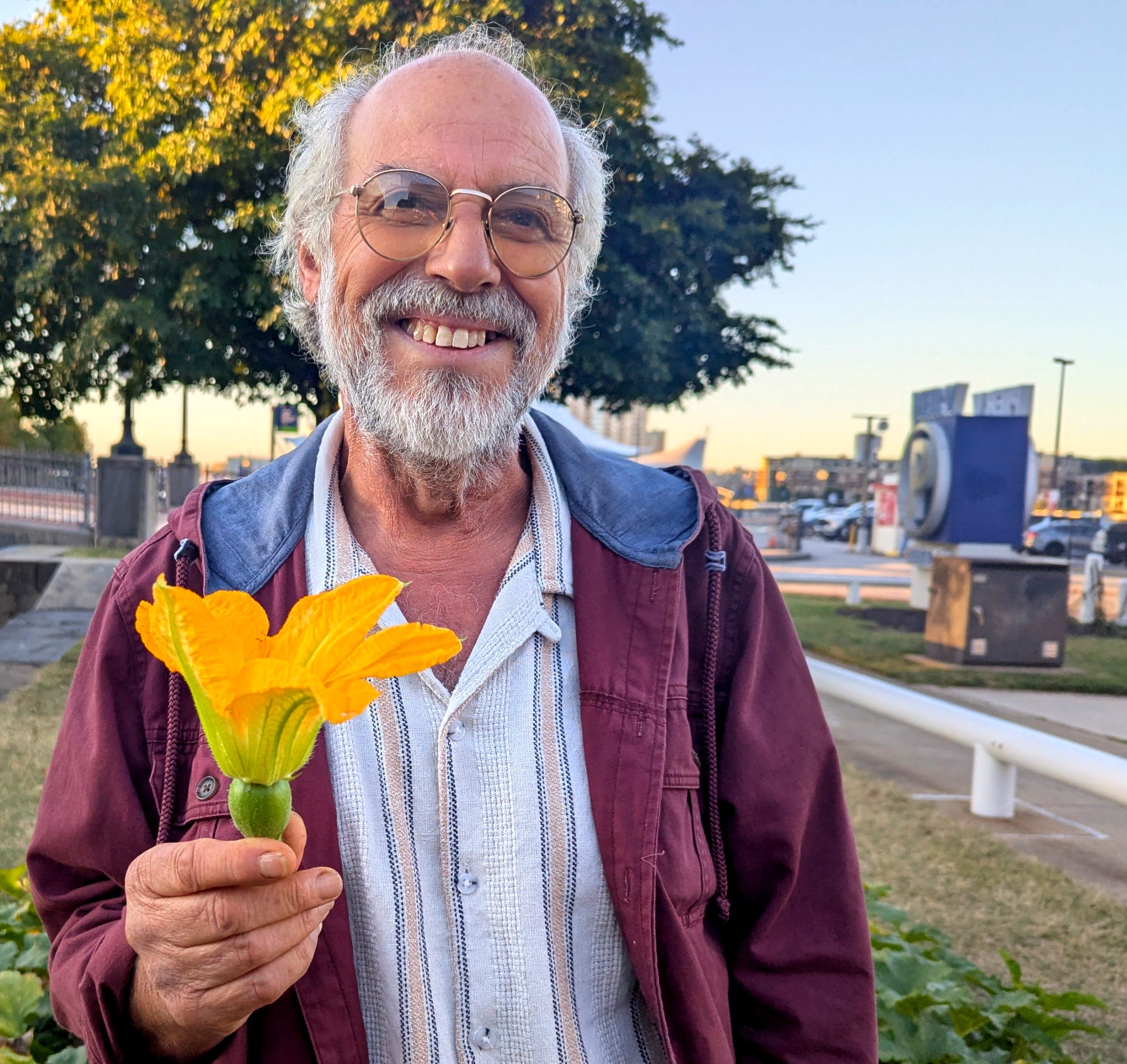 Baltimore Fishbowl | nicola