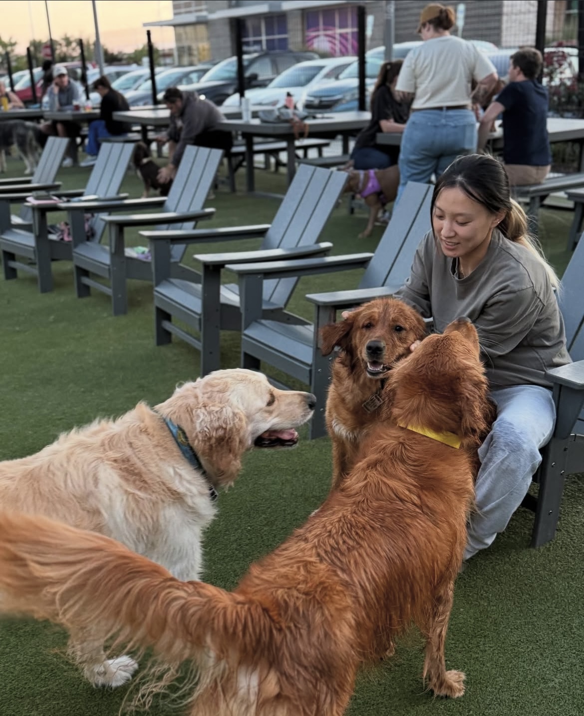 Baltimore Fishbowl | Bark Social returns: Columbia location reopens Nov ...