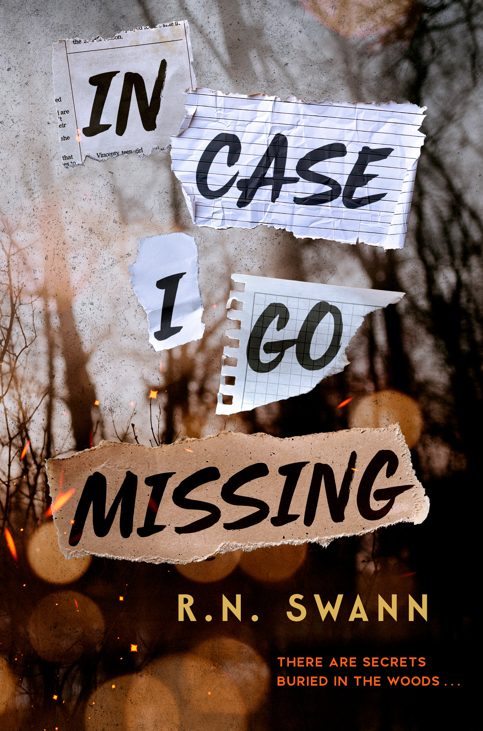 R.N. Swann discusses debut YA thriller novel 'In Case I Go Missing'